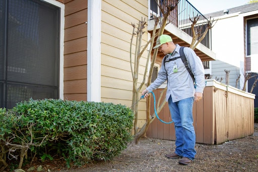 Top Pest Control Services Companies in Waco