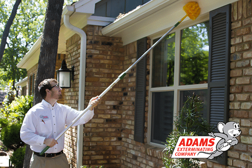 Adams Exterminating - Pest Control Services - Lewisville, TX