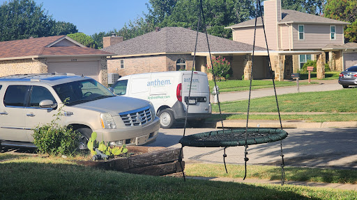 Top Pest Control Services Companies in Carrollton