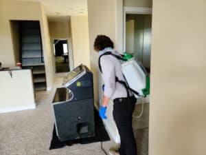 Veseris - Pest Control Services - Austin, TX