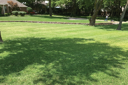 Lawn Sense - Pest Control Services - McKinney, TX