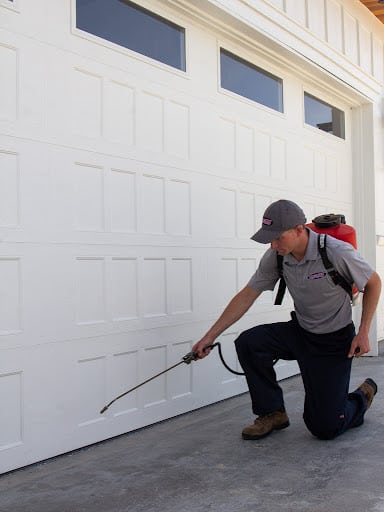 Top Pest Control Services Companies in Conroe