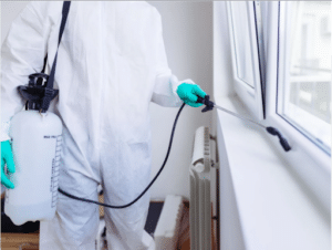 Veseris - Pest Control Services - Austin, TX