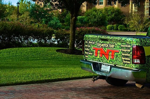 Top Pest Control Services Companies in Tomball