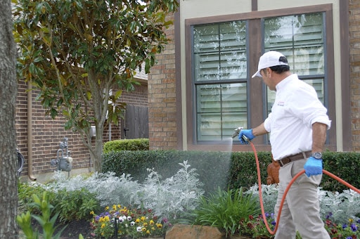Top Pest Control Services Companies in Cypress