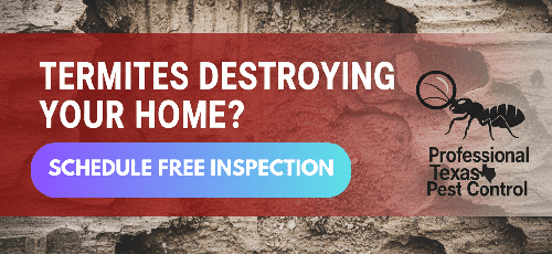 Hometeam Pest Defense - Pest Control Services - Fort Worth, TX